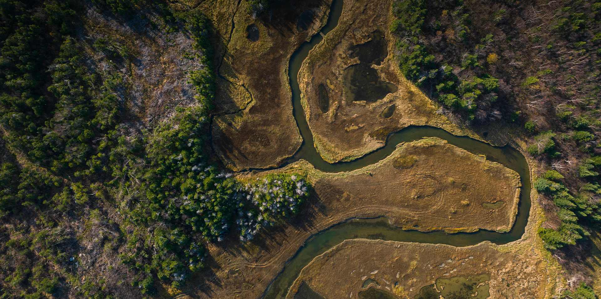 Home | World Energy GH2